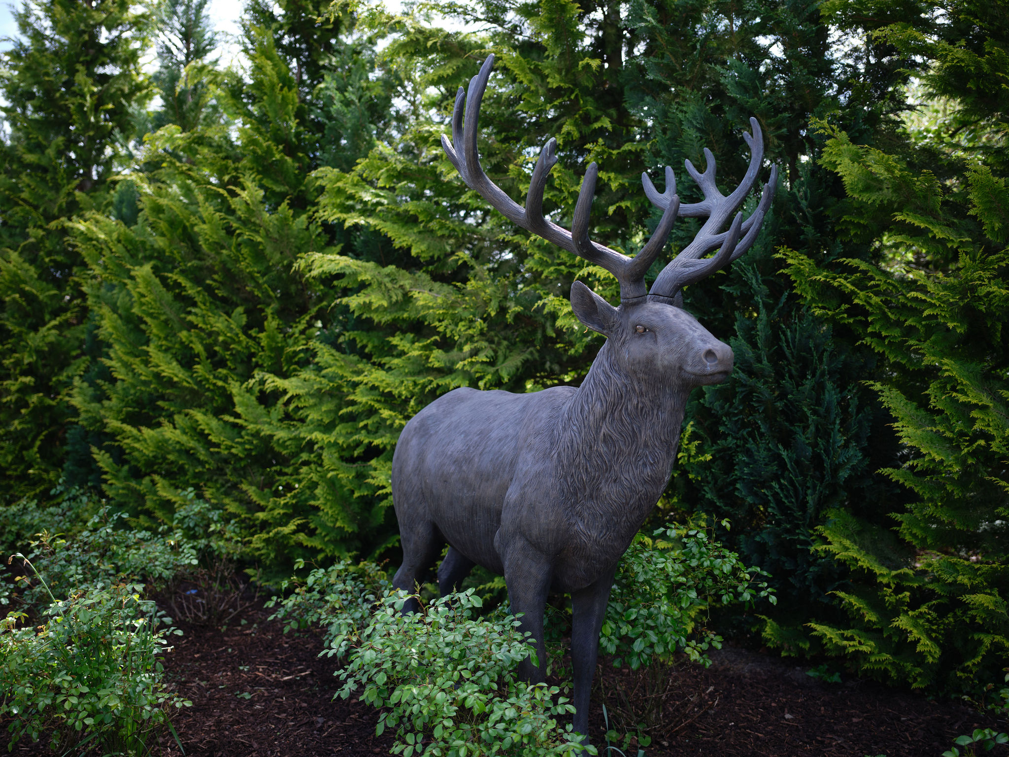 Estate Gallery | Luxury Estate Ireland | Lyrath Estate
