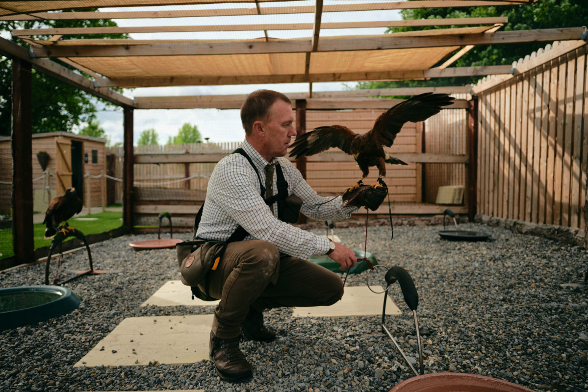 Falconry Kilkenny | Falconry Ireland | Lyrath Estate
