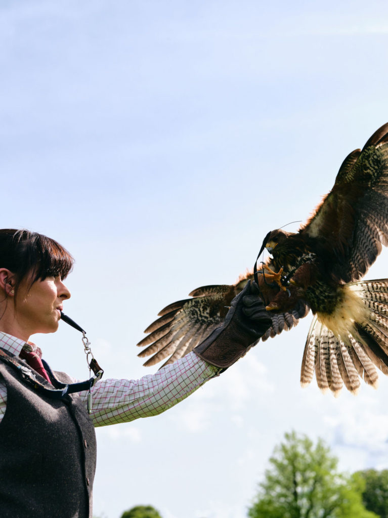 Falconry Kilkenny | Falconry Ireland | Lyrath Estate