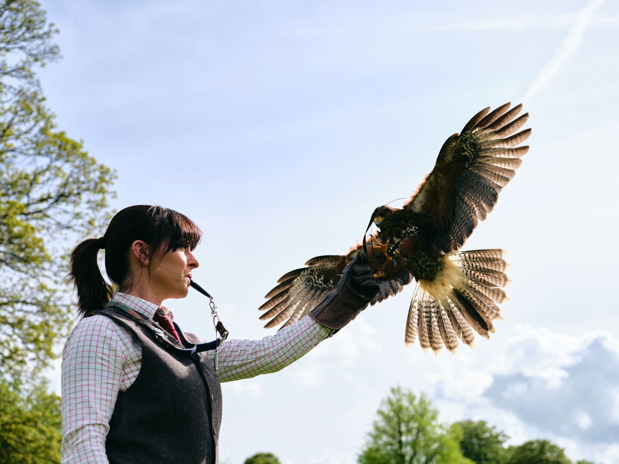 Falconry Kilkenny | Falconry Ireland | Lyrath Estate