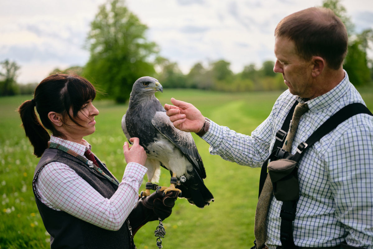 Falconry Kilkenny | Falconry Ireland | Lyrath Estate