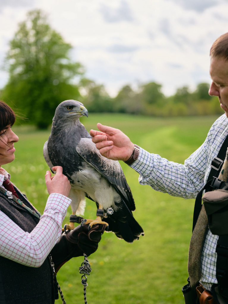 Falconry Kilkenny | Falconry Ireland | Lyrath Estate